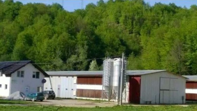 Zašto je zatvorena farma pilića u Srebrenici?