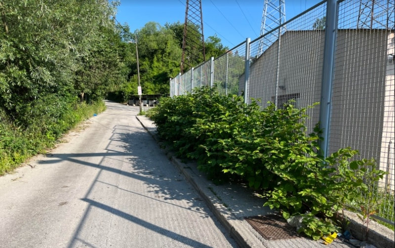 I ono malo trotoara u ulici Velešići zaraslo u šiblje, stanovnici ogorčeni