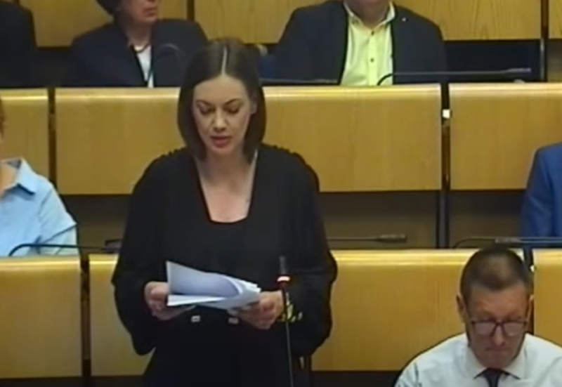 Iva Raguž traži hitnu reakciju: Sanel Kajan žene u Domu naroda FBiH ...
