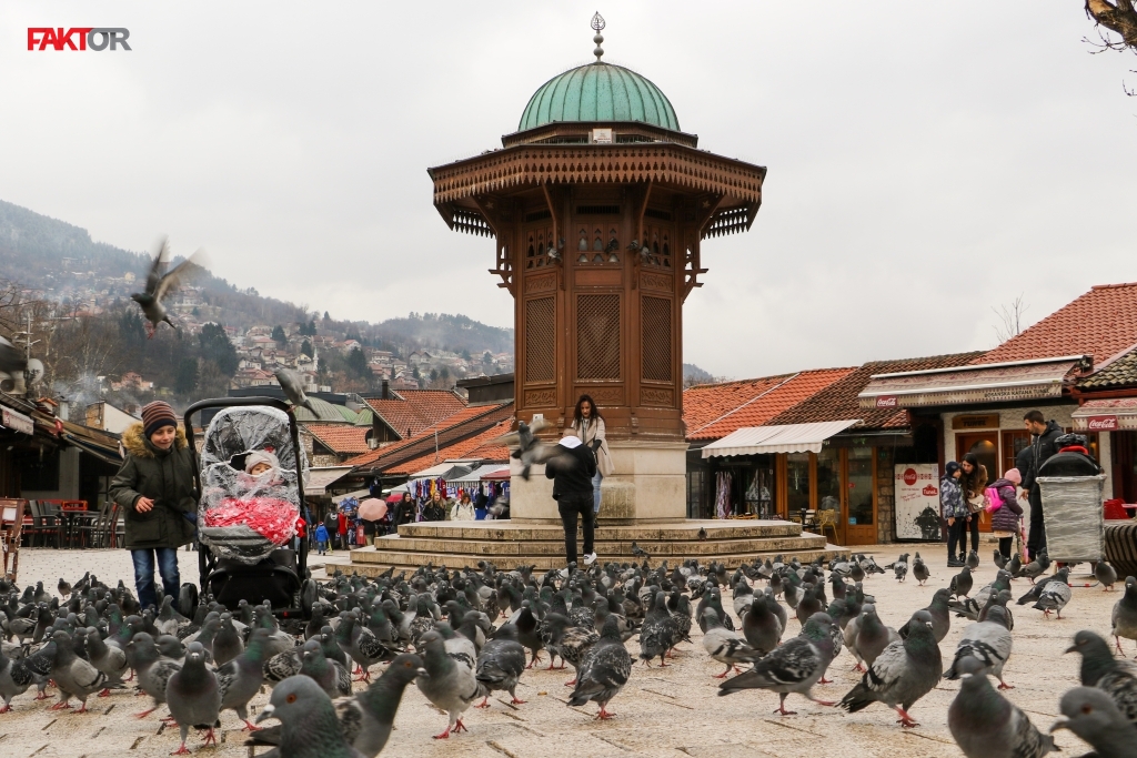 Predosjete li ptice zemljotres, promjene vremena, ima li ih koje ...