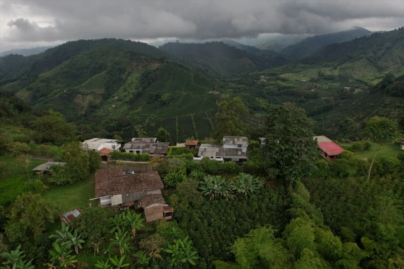 Ovo je mjesto gdje se uzgaja najbolje zrno kafe