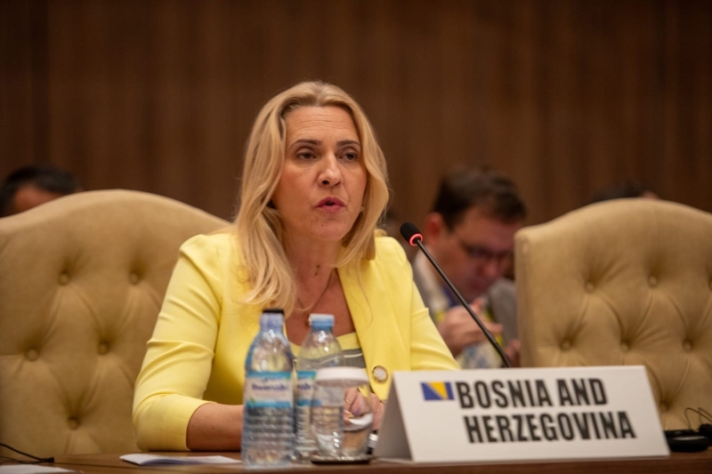 Cvijanović u Ugandi: BiH je jedina kolonija u Evropi u kojoj se Schmidt ponaša kao kolonijalni ...