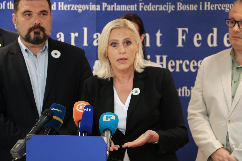 Kratina: Neka vlast učini nešto konkretno za žene žrtve, hitno donijeti zakon o zaštiti od ...