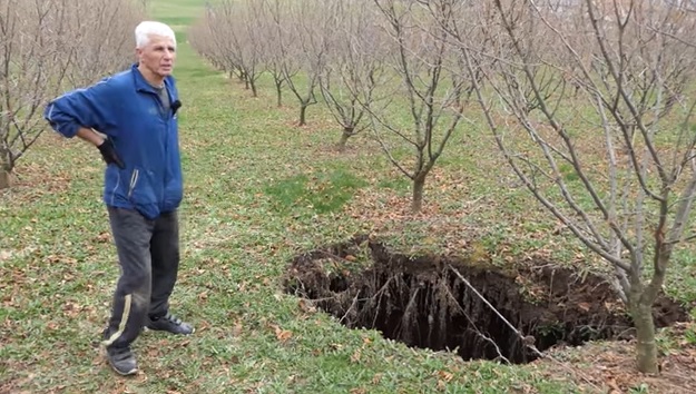 Misterija na plantaži lješnjaka Mirsada Zuluma, velika rupa se stvorila niotkuda