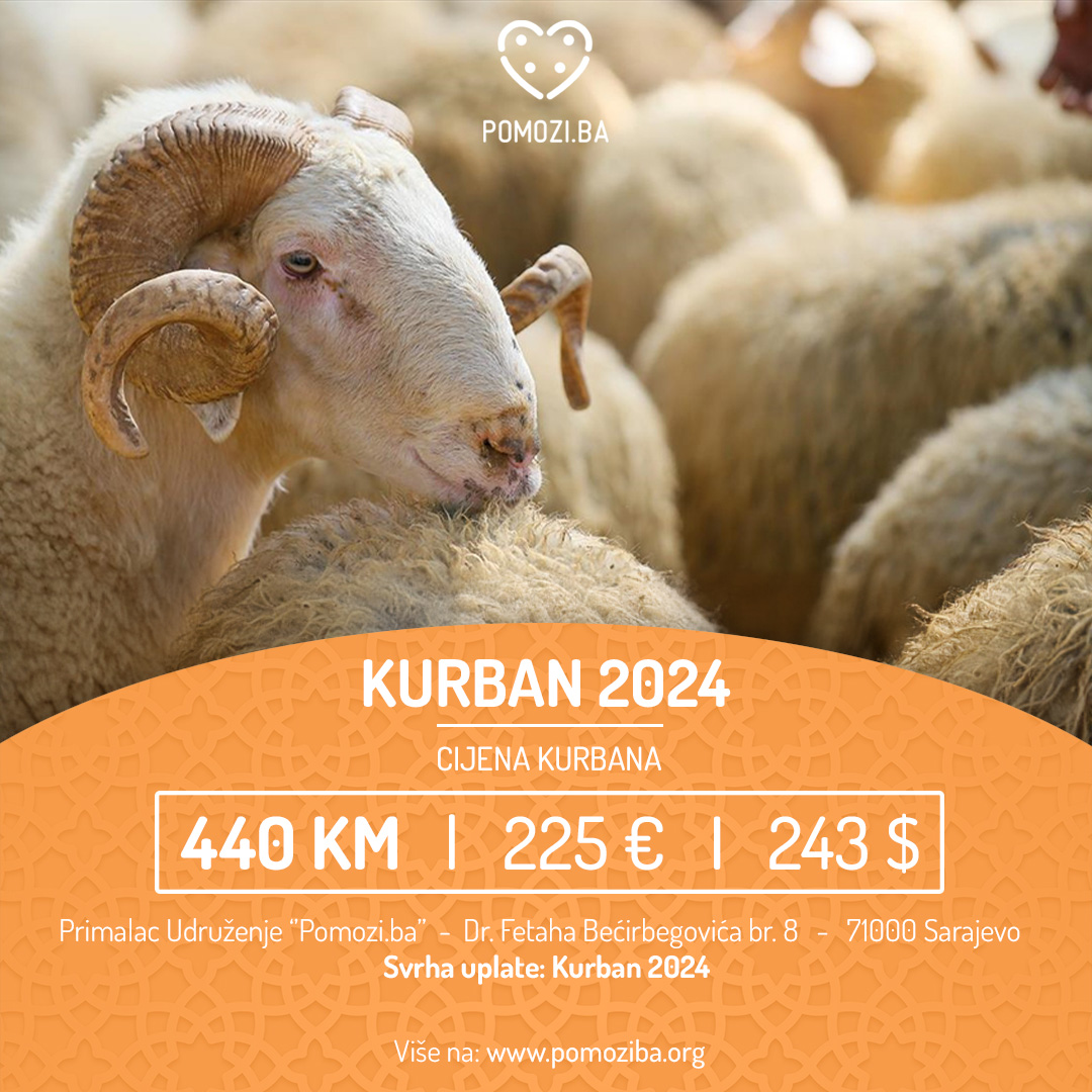 Pomozi.ba organizacija počela sa projektom "Kurban 2024", cijena ...