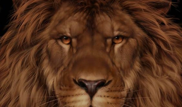 Ovdje svako vidi lava, ali samo oni sa visokim IQ mogu da uoče i drugu ...