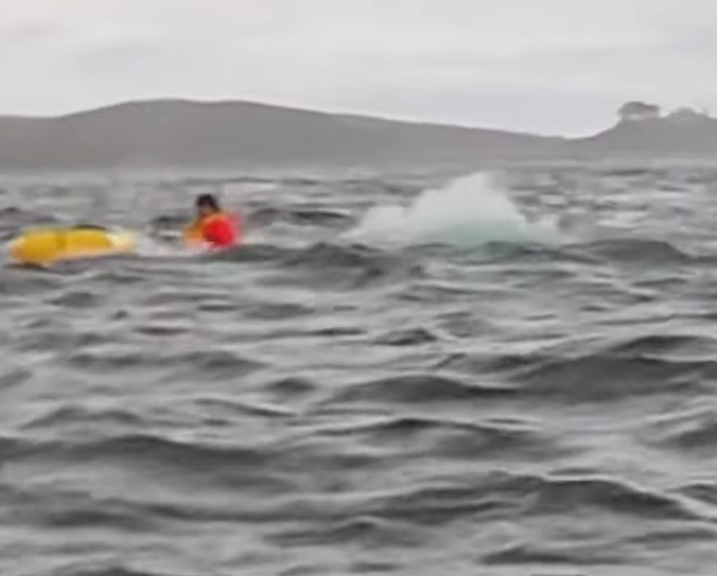Grbavi kit progutao, pa ispljunuo kajakaša kod obale Čilea