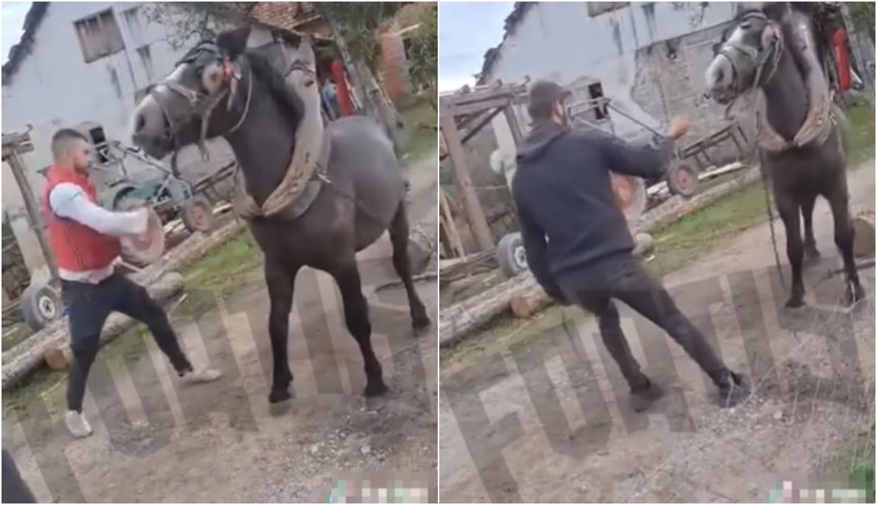Uznemirujuće: Identifikovane osobe sa snimka na kojem tuku konja