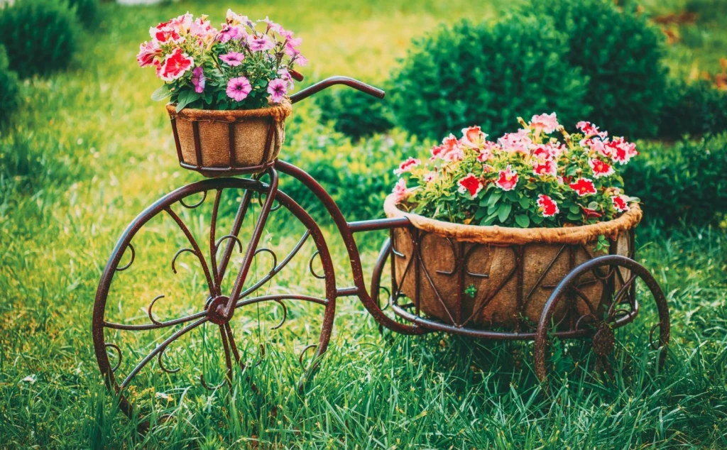 Ko je orhideja, a ko tratinčica i ruža